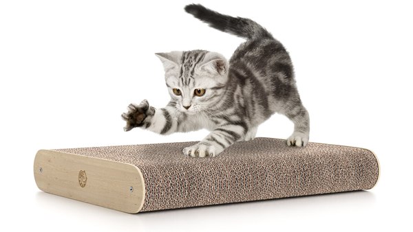 3D model Cat Scratcher - TurboSquid 1806647