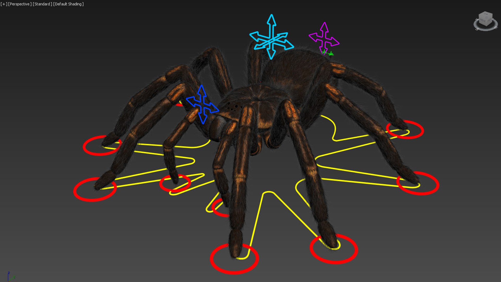 Realistic tarantula animations rig 3D - TurboSquid 1653455