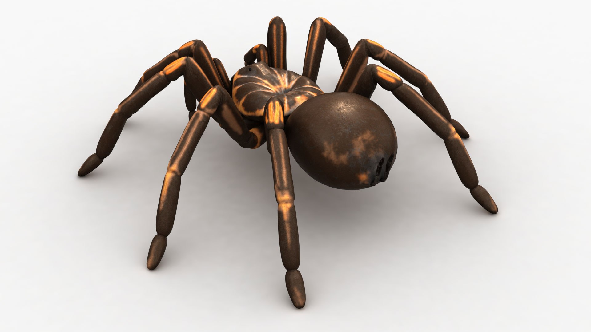 Realistic tarantula animations rig 3D - TurboSquid 1653455