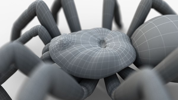 Realistic tarantula animations rig 3D - TurboSquid 1653455