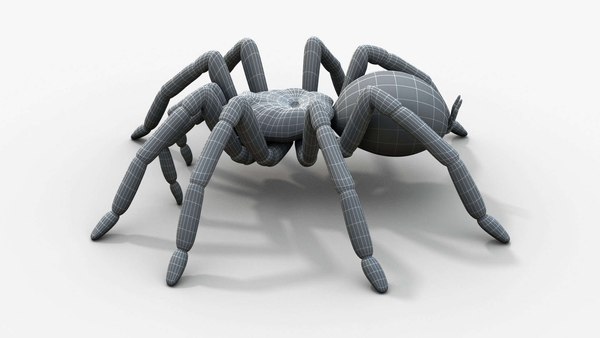 Realistic tarantula animations rig 3D - TurboSquid 1653455