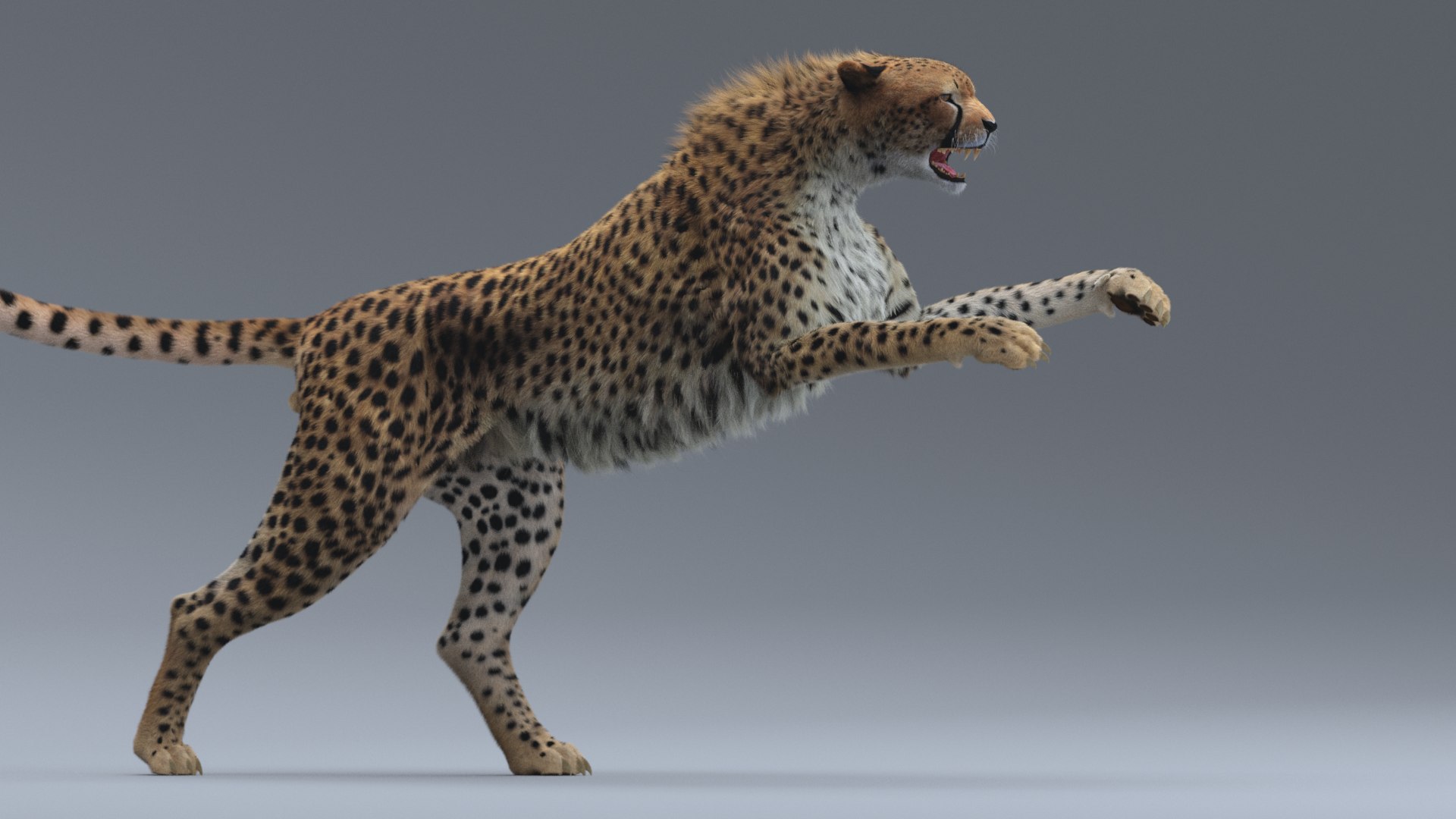 3D Model Cheetah Rigged - TurboSquid 1362076