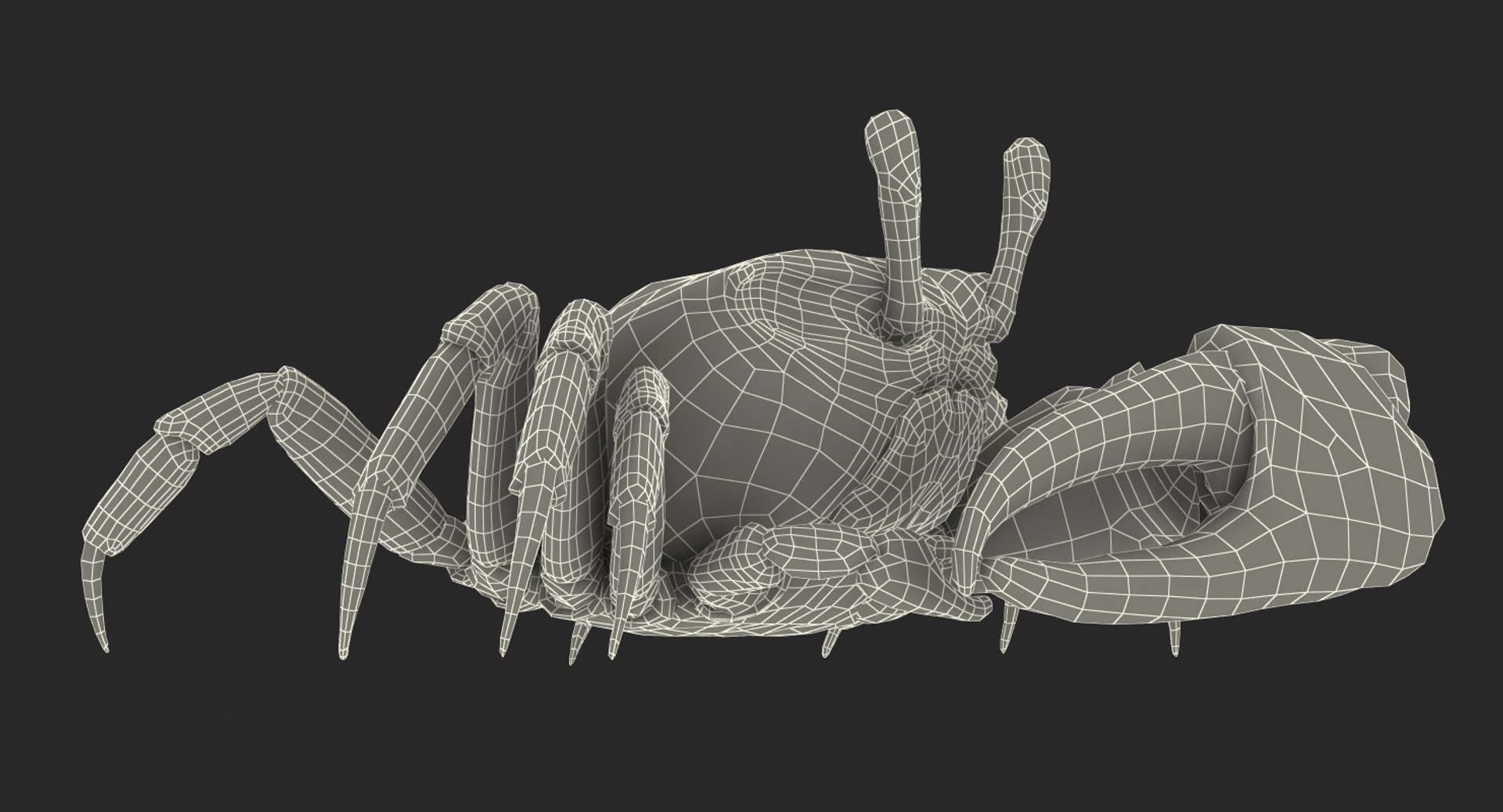 3d fiddler crab sitting pose model