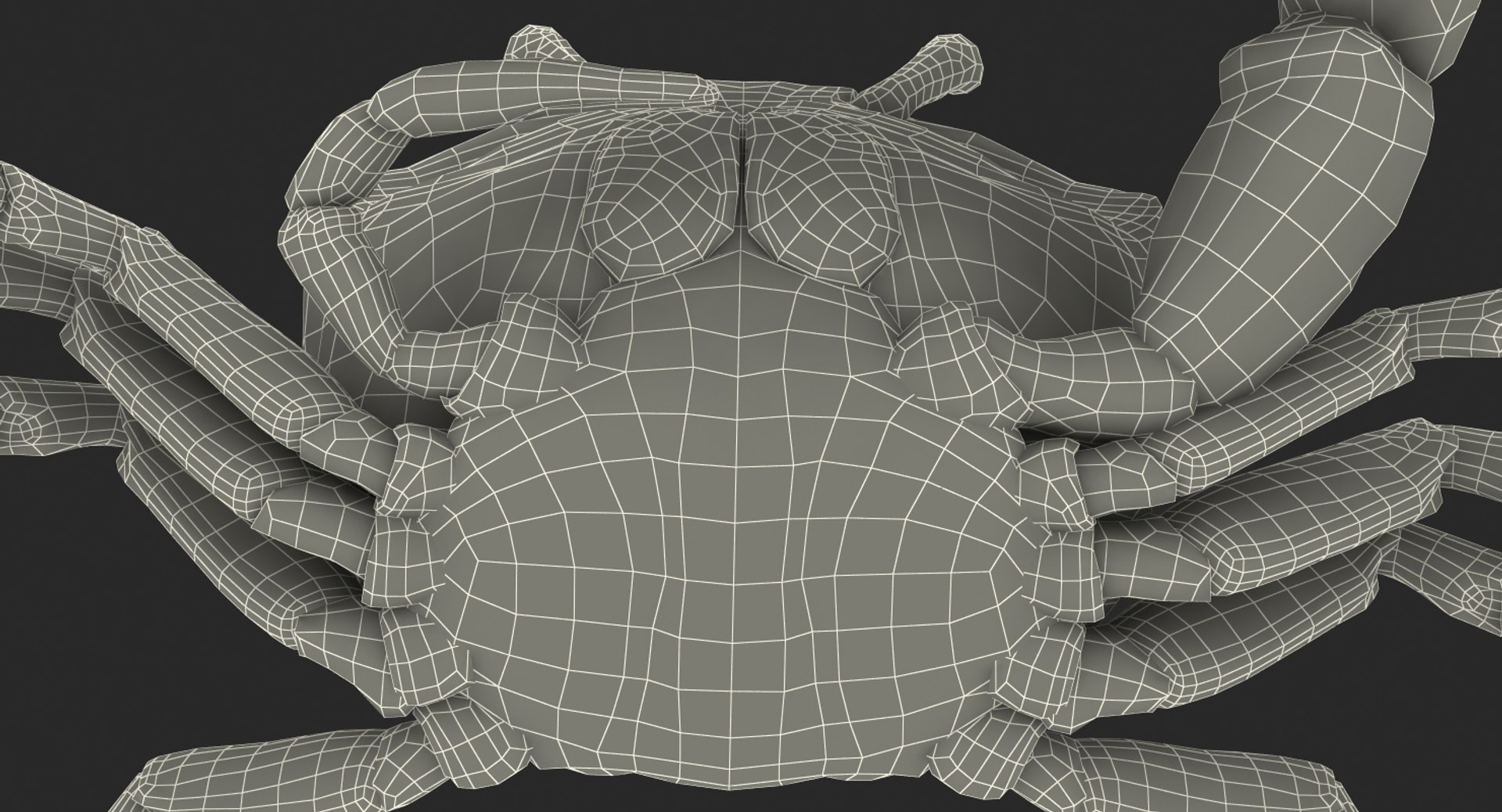 3d fiddler crab sitting pose model
