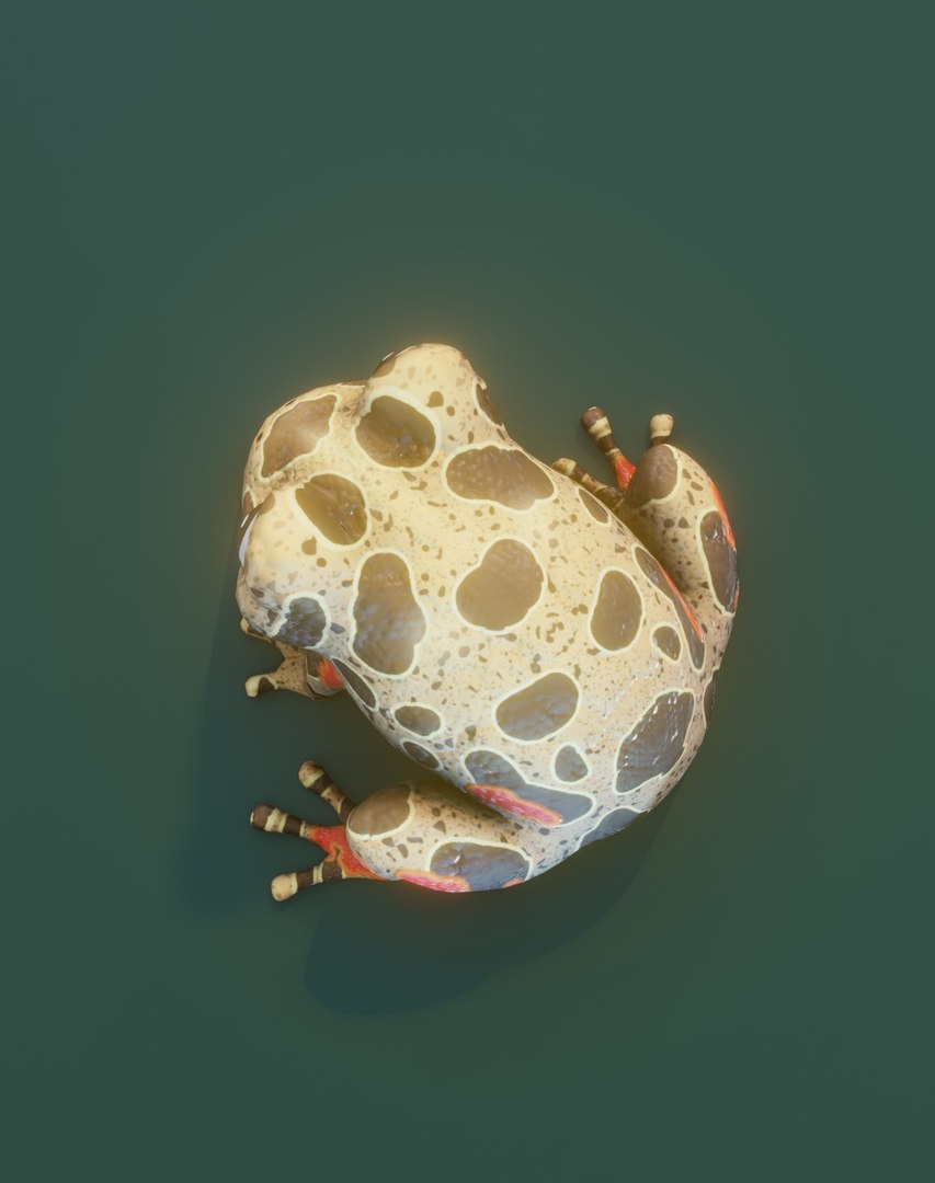 3D Model Cartoon Red-legged Frog Rigged 3D Model - TurboSquid 1775560