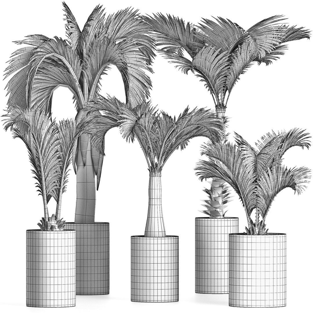 3D Palm Plants Model - TurboSquid 1687060