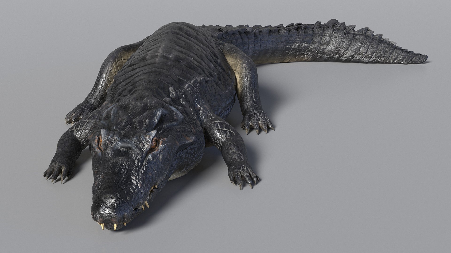 Crawling Black Caiman 3D Model - TurboSquid 2202508