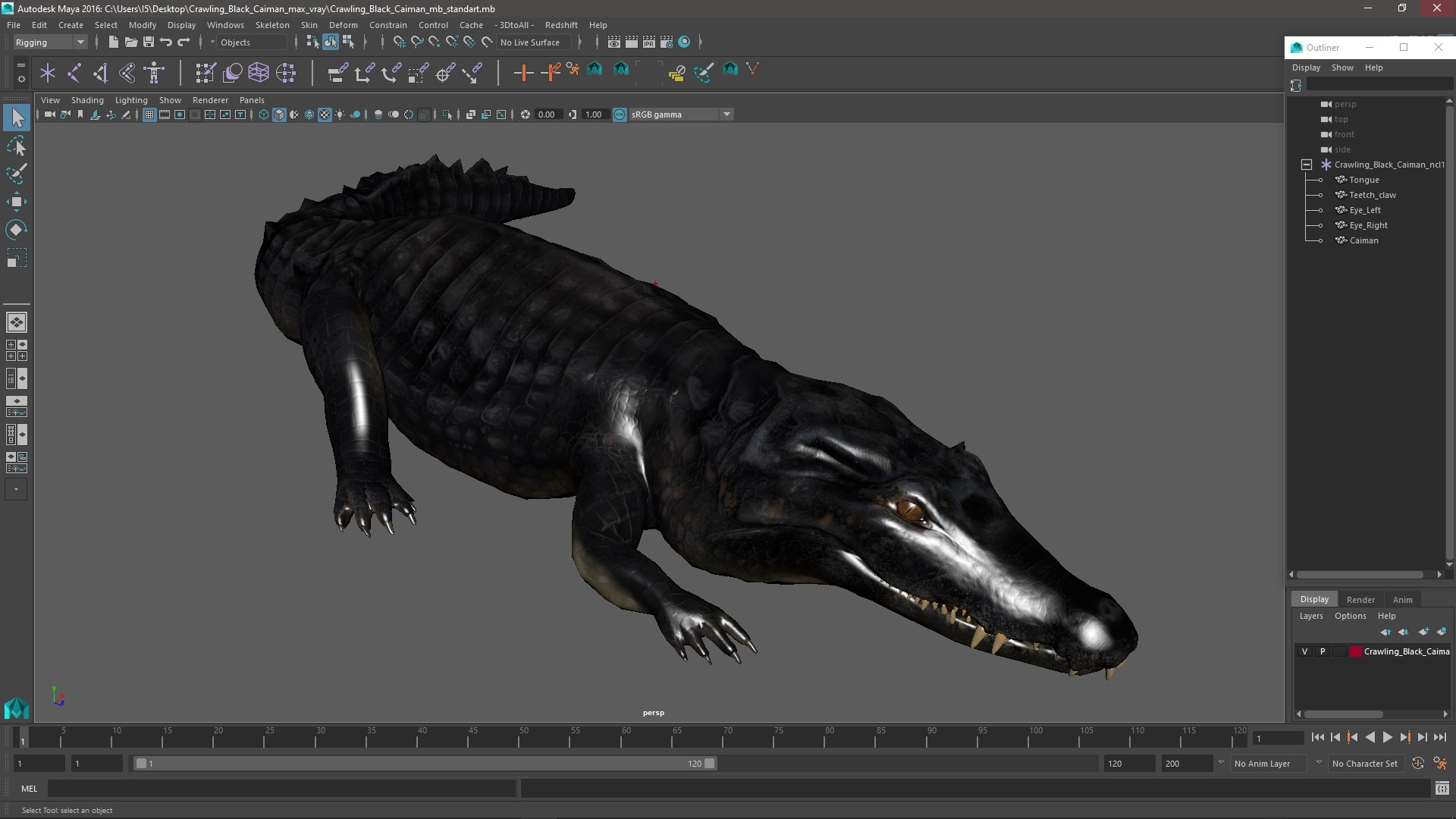 Crawling Black Caiman 3D Model - TurboSquid 2202508