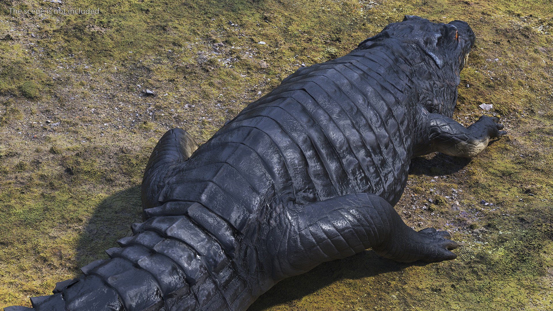 Crawling Black Caiman 3D Model - TurboSquid 2202508