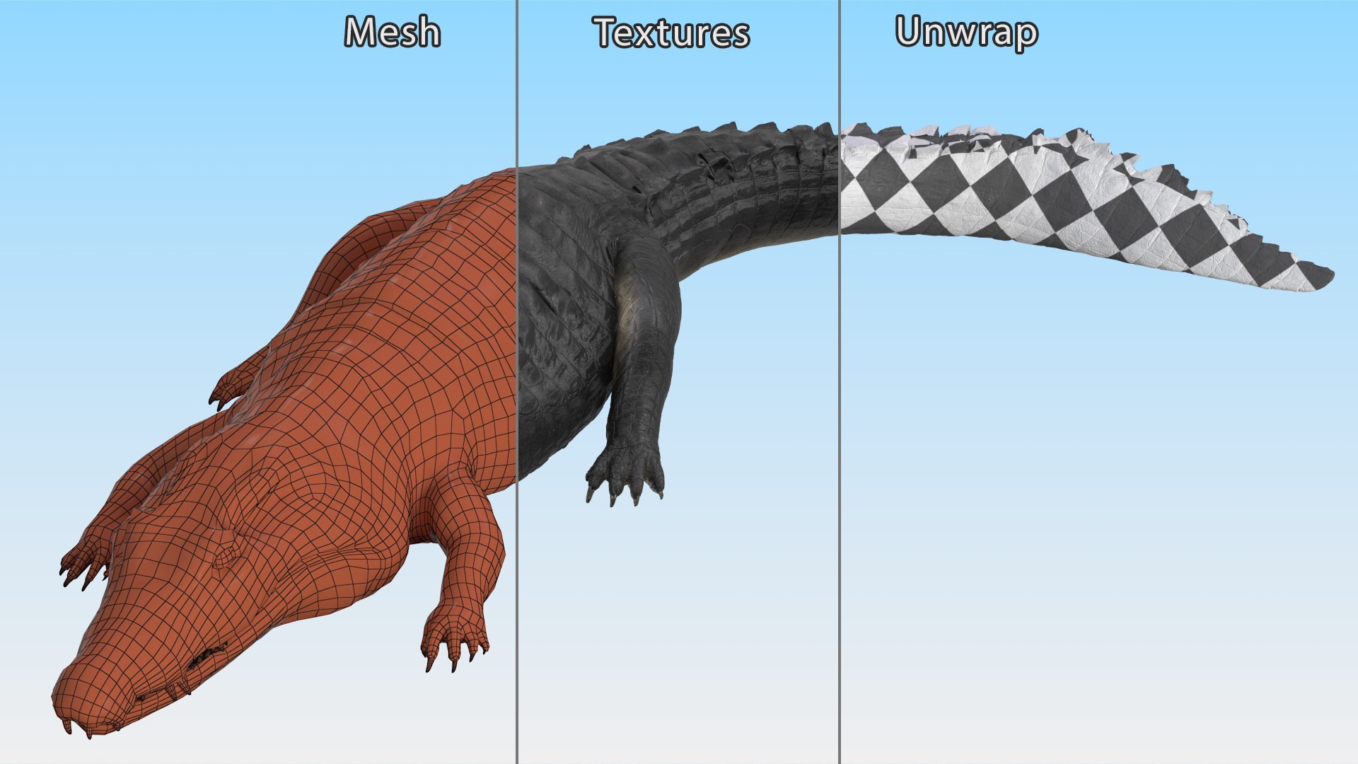 Crawling Black Caiman 3D Model - TurboSquid 2202508