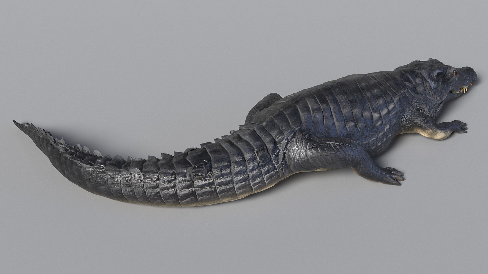 Crawling Black Caiman 3D Model - TurboSquid 2202508