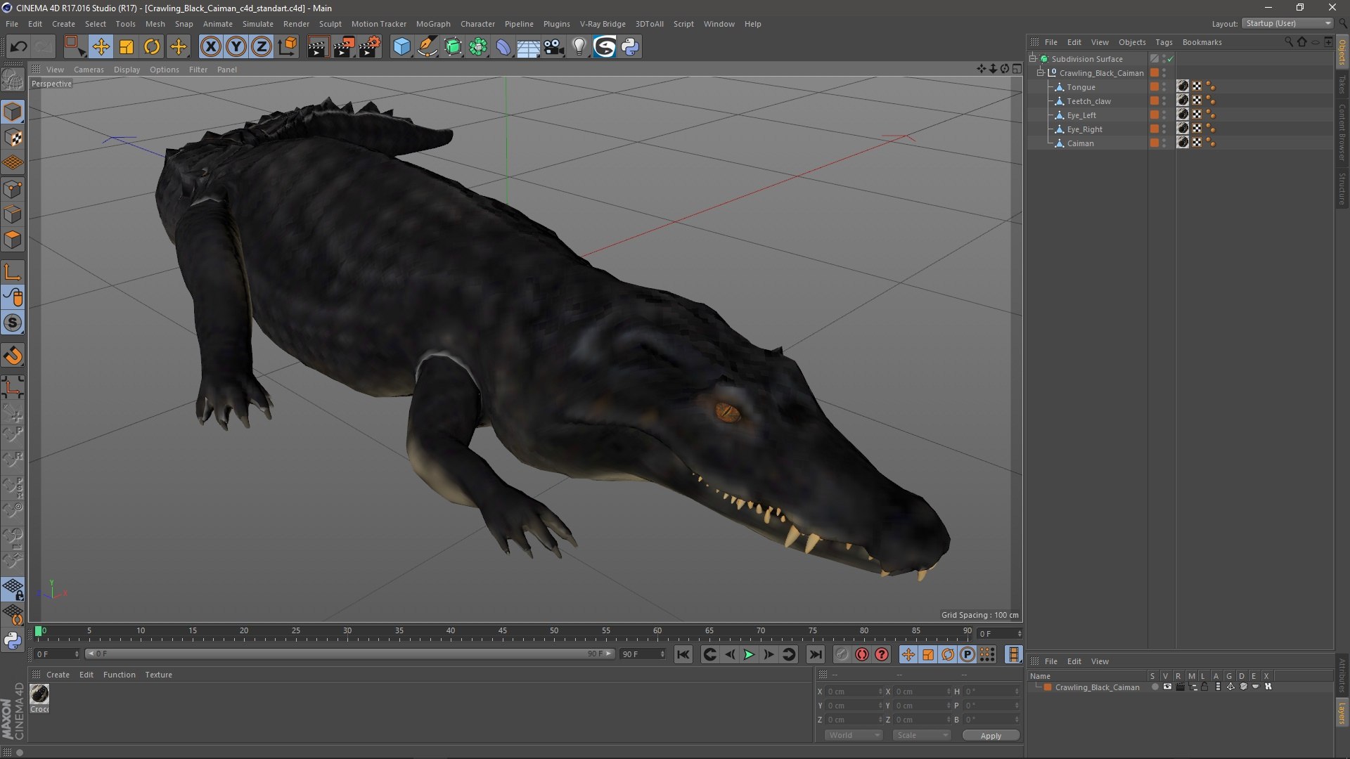 Crawling Black Caiman 3D Model - TurboSquid 2202508