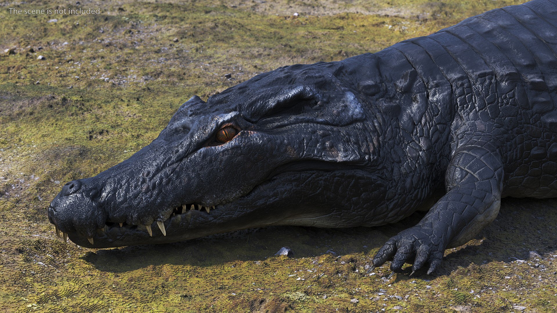 Crawling Black Caiman 3D Model - TurboSquid 2202508