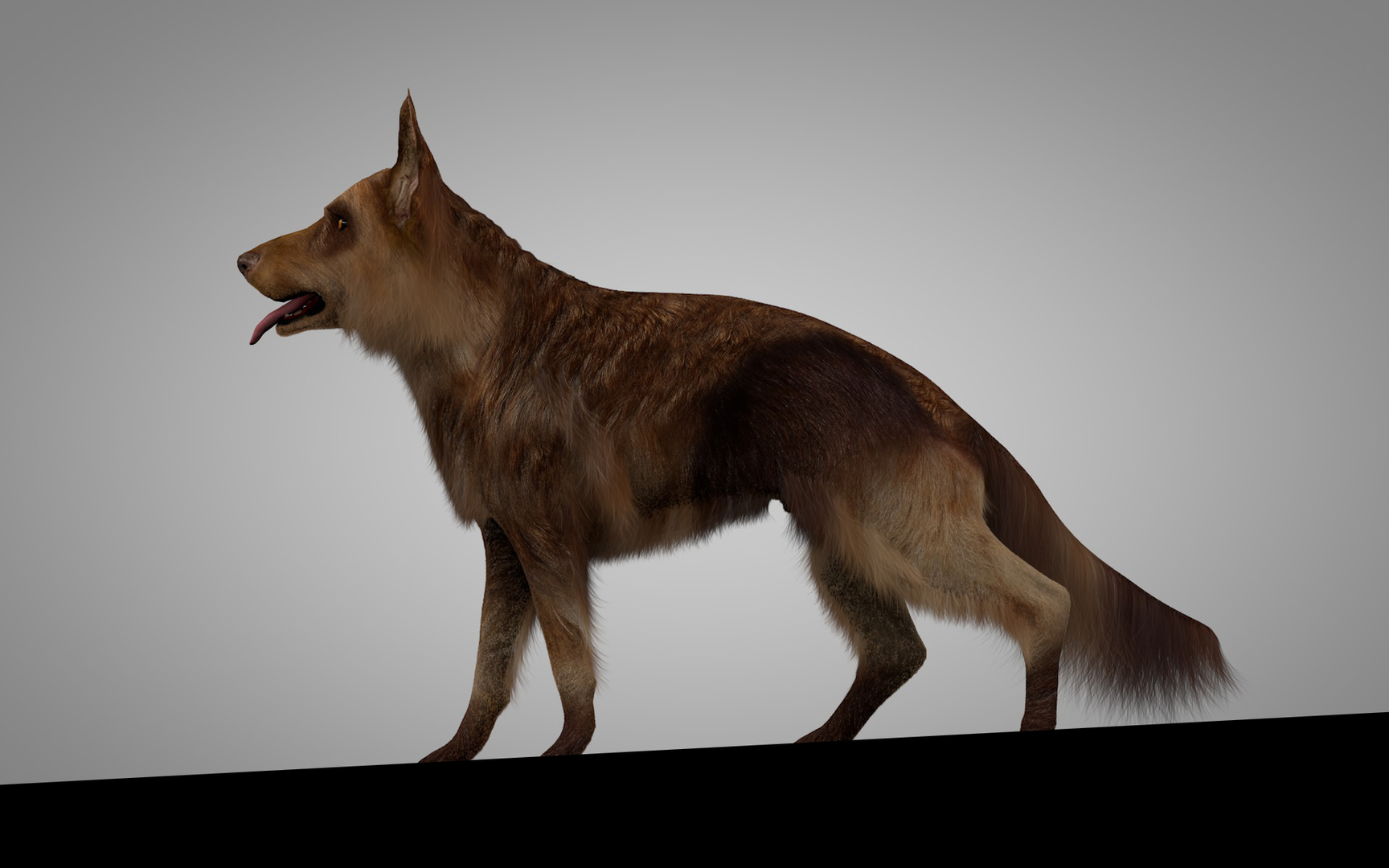 3D Model Solid Liver German Shepherd - TurboSquid 1423700