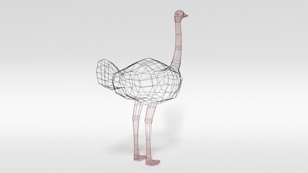 3D ostrich blender ready model - TurboSquid 1511403