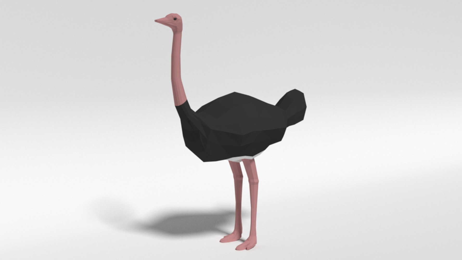 3D ostrich blender ready model - TurboSquid 1511403