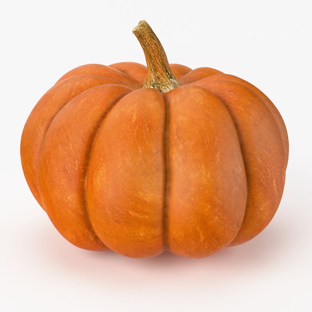 3d Model Realistic Pumpkin Real