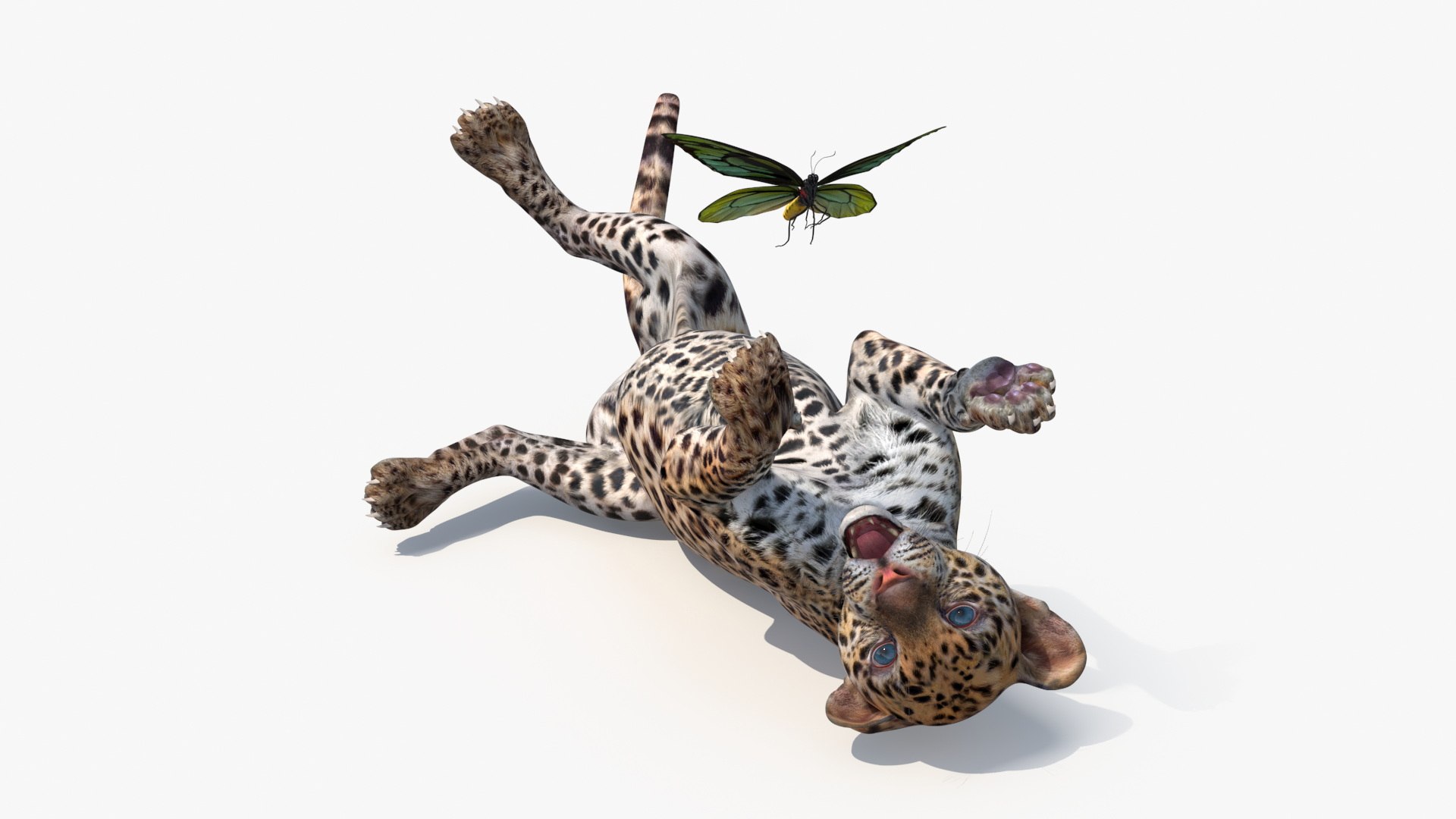 3D Playful Leopard Cub With Butterfly - TurboSquid 2351947