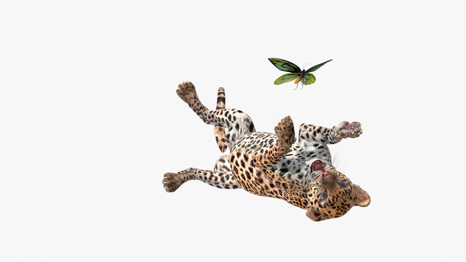 3D Playful Leopard Cub With Butterfly - TurboSquid 2351947