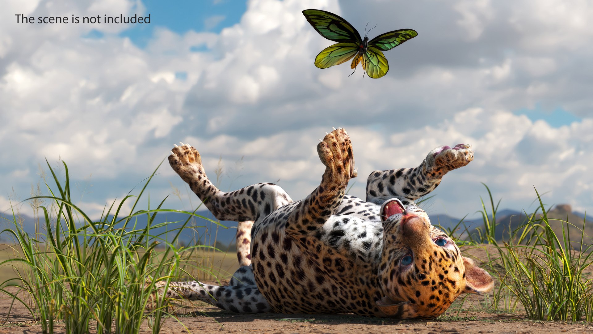 3D Playful Leopard Cub With Butterfly - TurboSquid 2351947