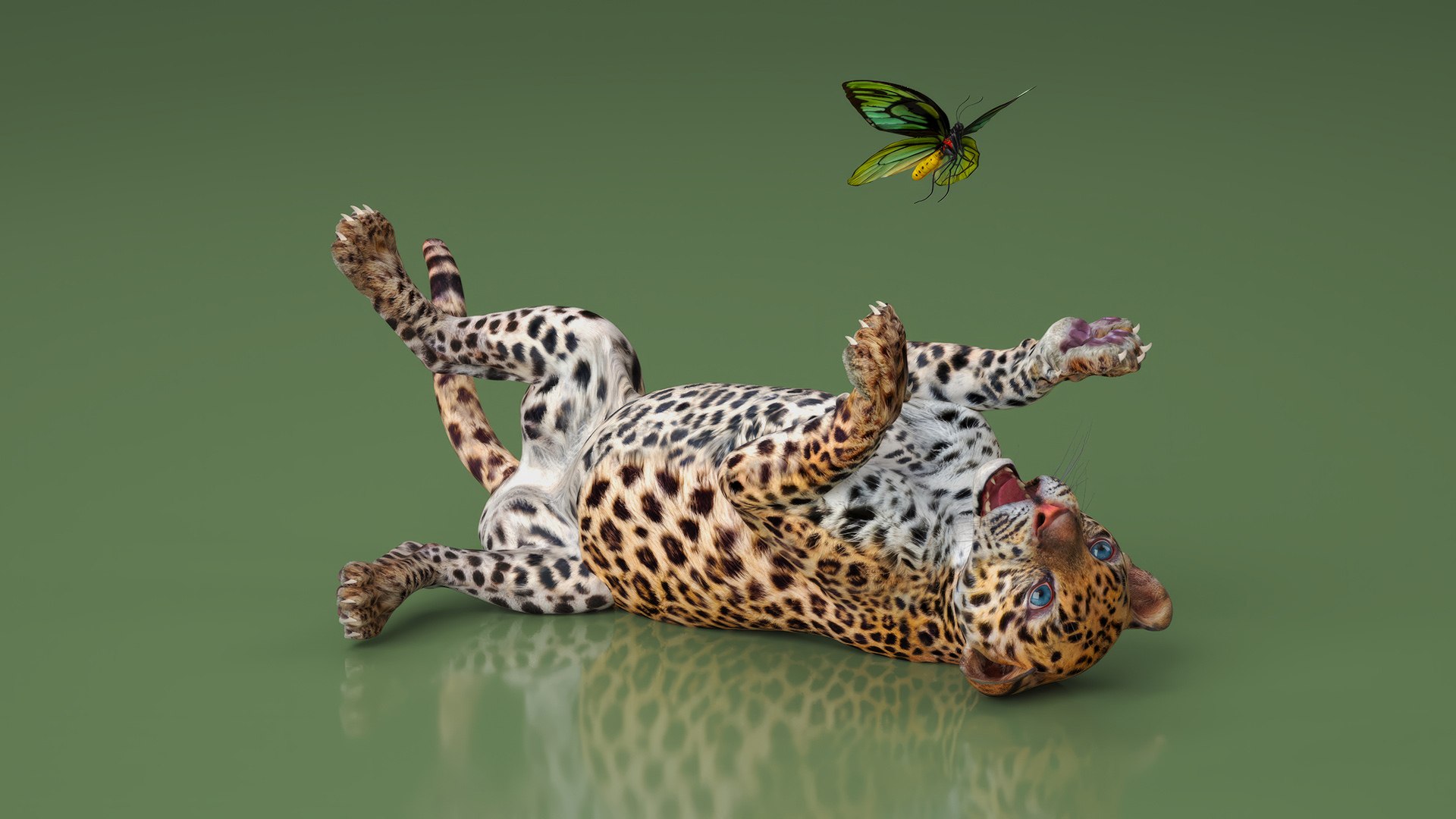 3D Playful Leopard Cub With Butterfly - TurboSquid 2351947
