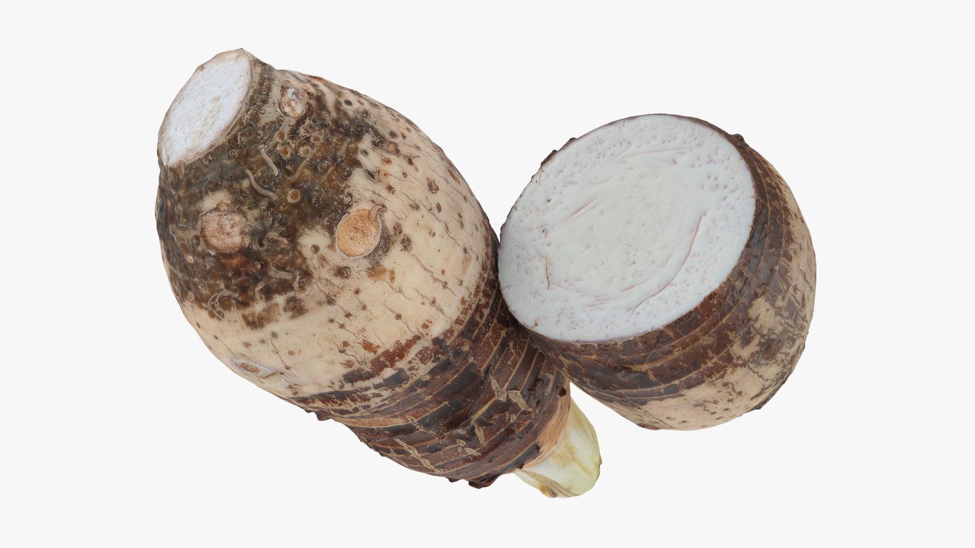 Whole And Half Taro 3D Model - TurboSquid 2206074