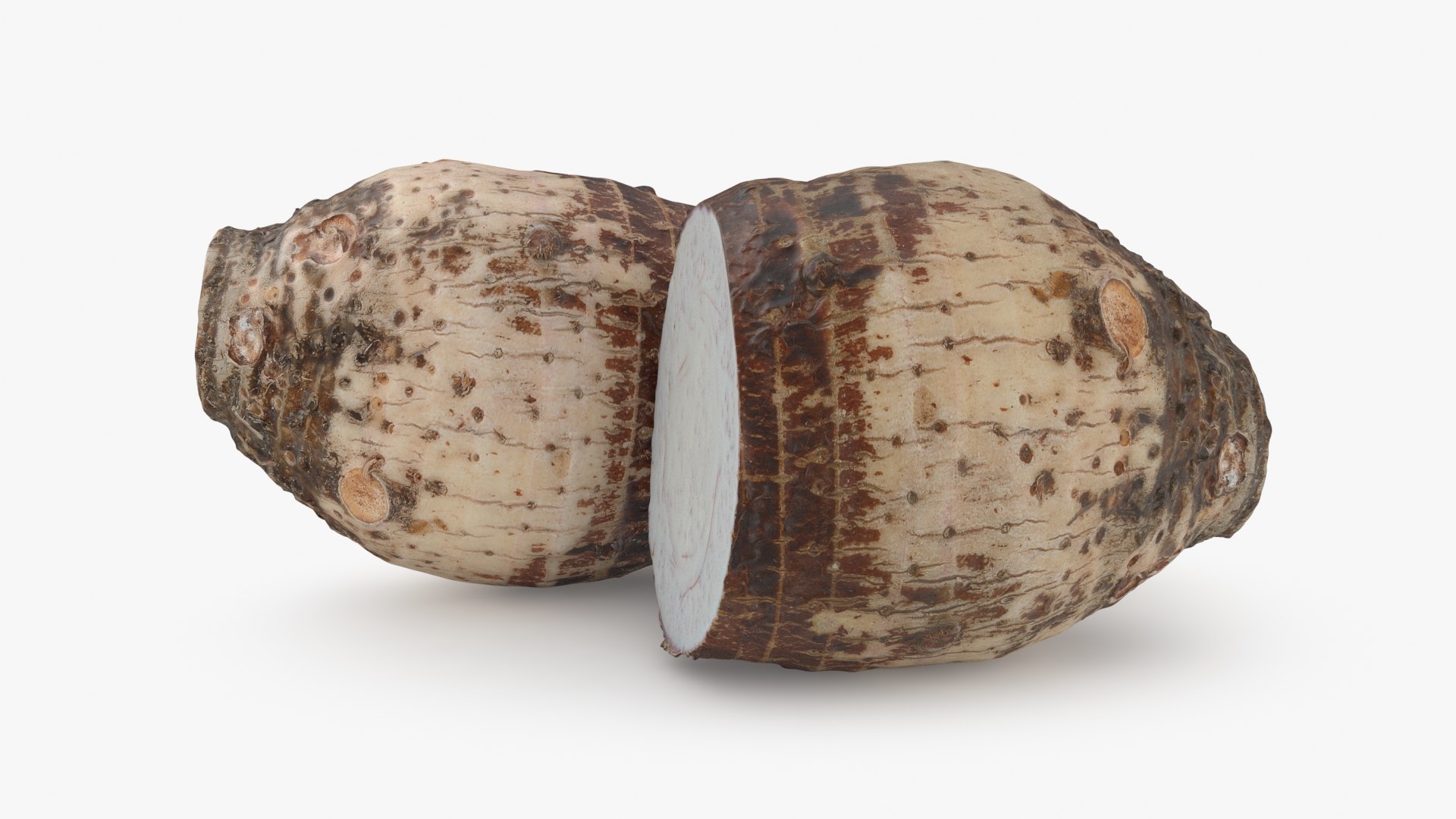 Whole And Half Taro 3D Model - TurboSquid 2206074