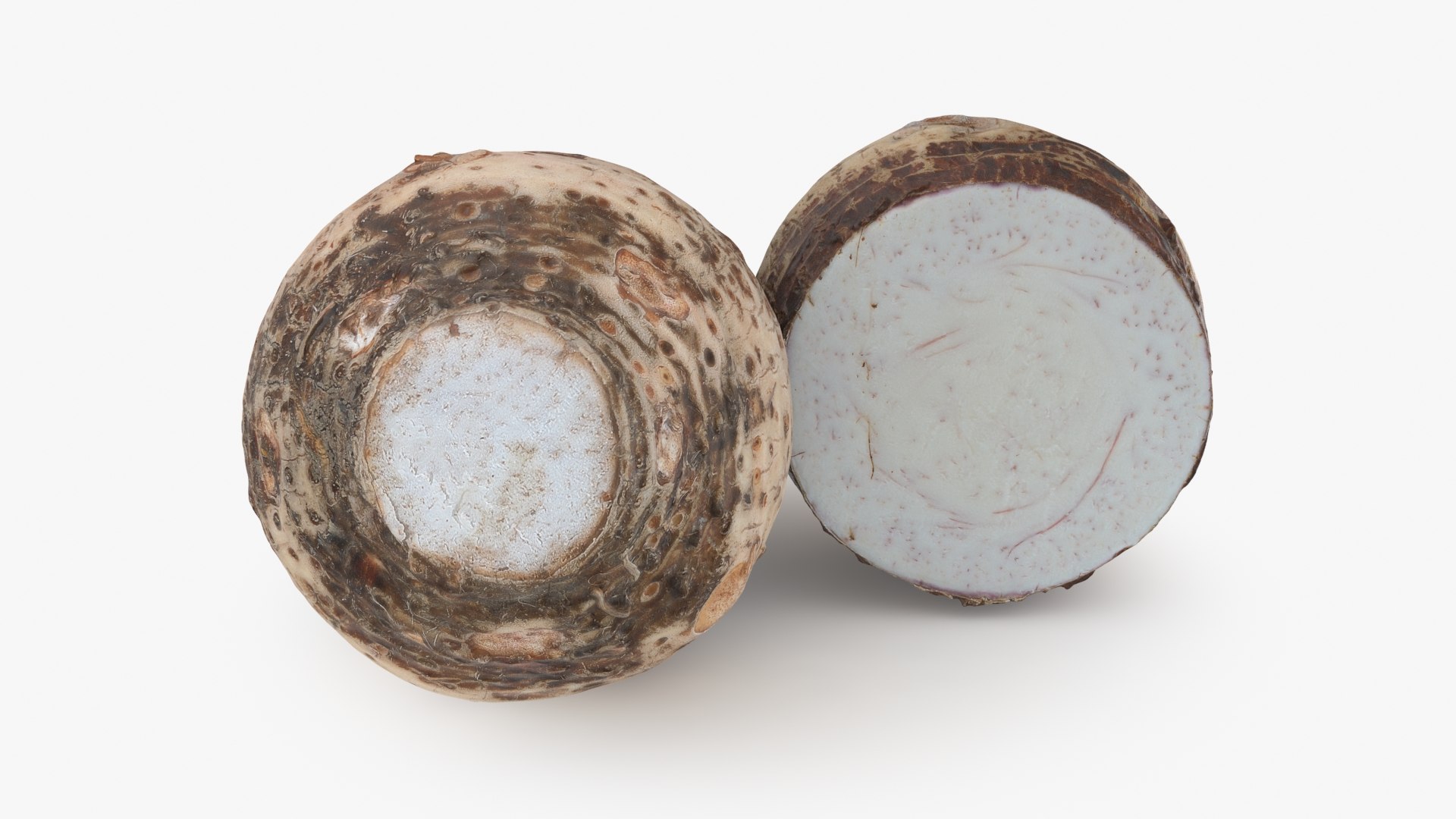 Whole And Half Taro 3D Model - TurboSquid 2206074