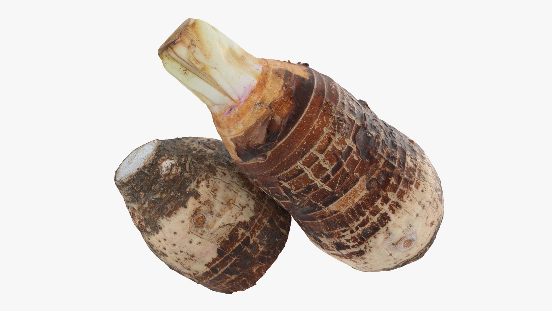 Whole And Half Taro 3D Model - TurboSquid 2206074