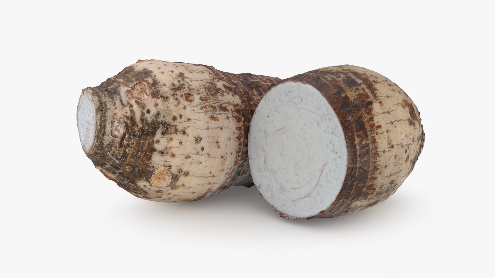 Whole And Half Taro 3D Model - TurboSquid 2206074
