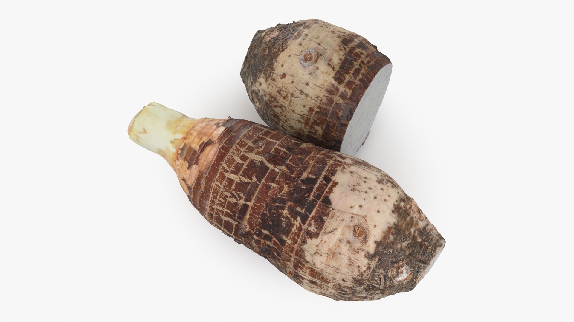 Whole And Half Taro 3D Model - TurboSquid 2206074