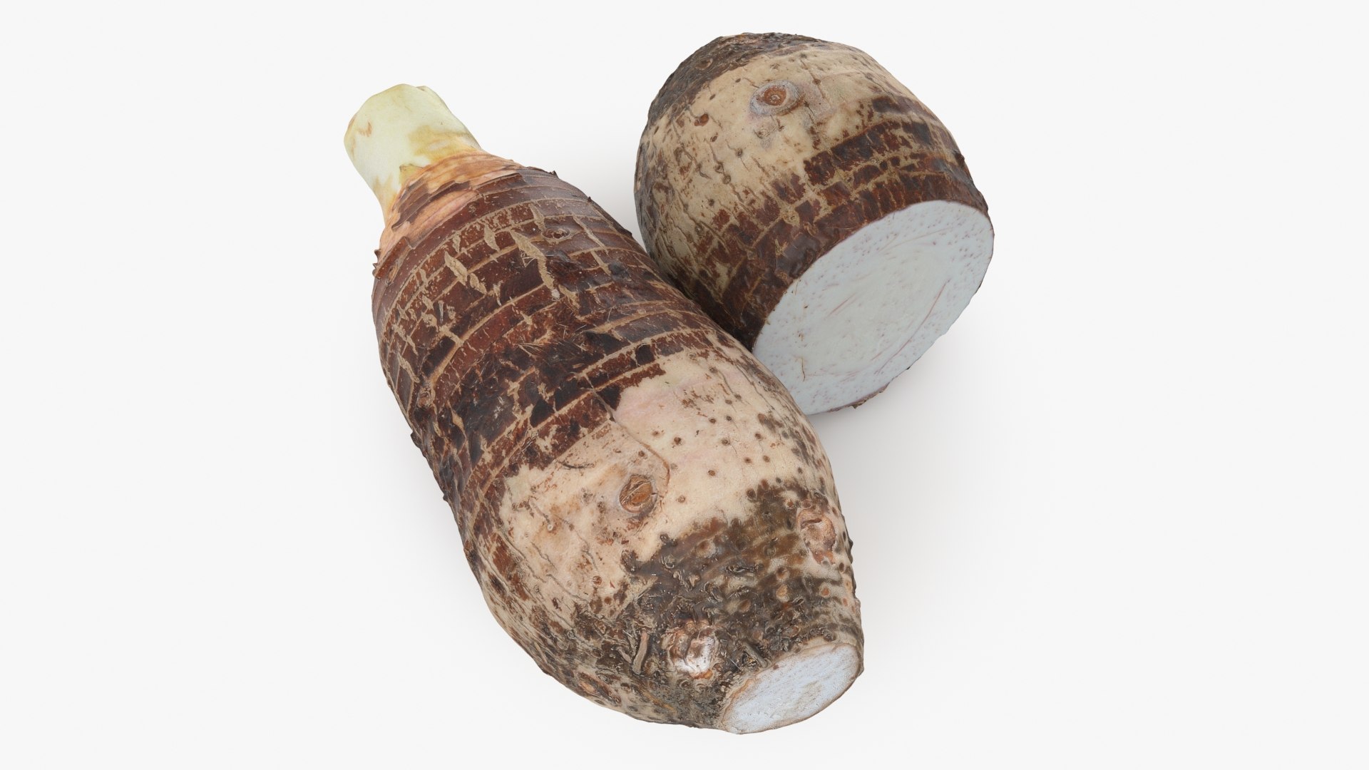 Whole And Half Taro 3D Model - TurboSquid 2206074