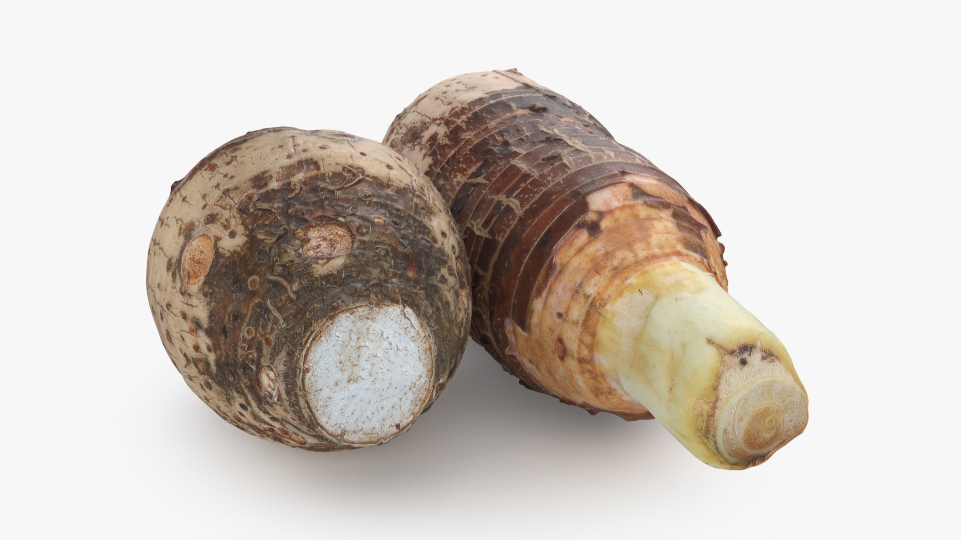 Whole And Half Taro 3D Model - TurboSquid 2206074