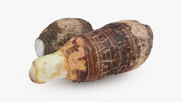 modelo 3d Taro entero y medio - TurboSquid 2206074