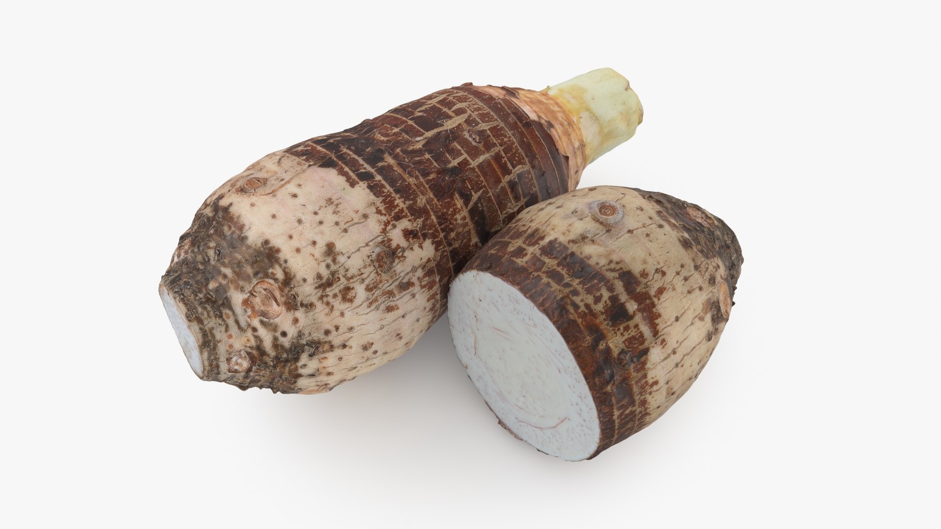 Whole And Half Taro 3D Model - TurboSquid 2206074