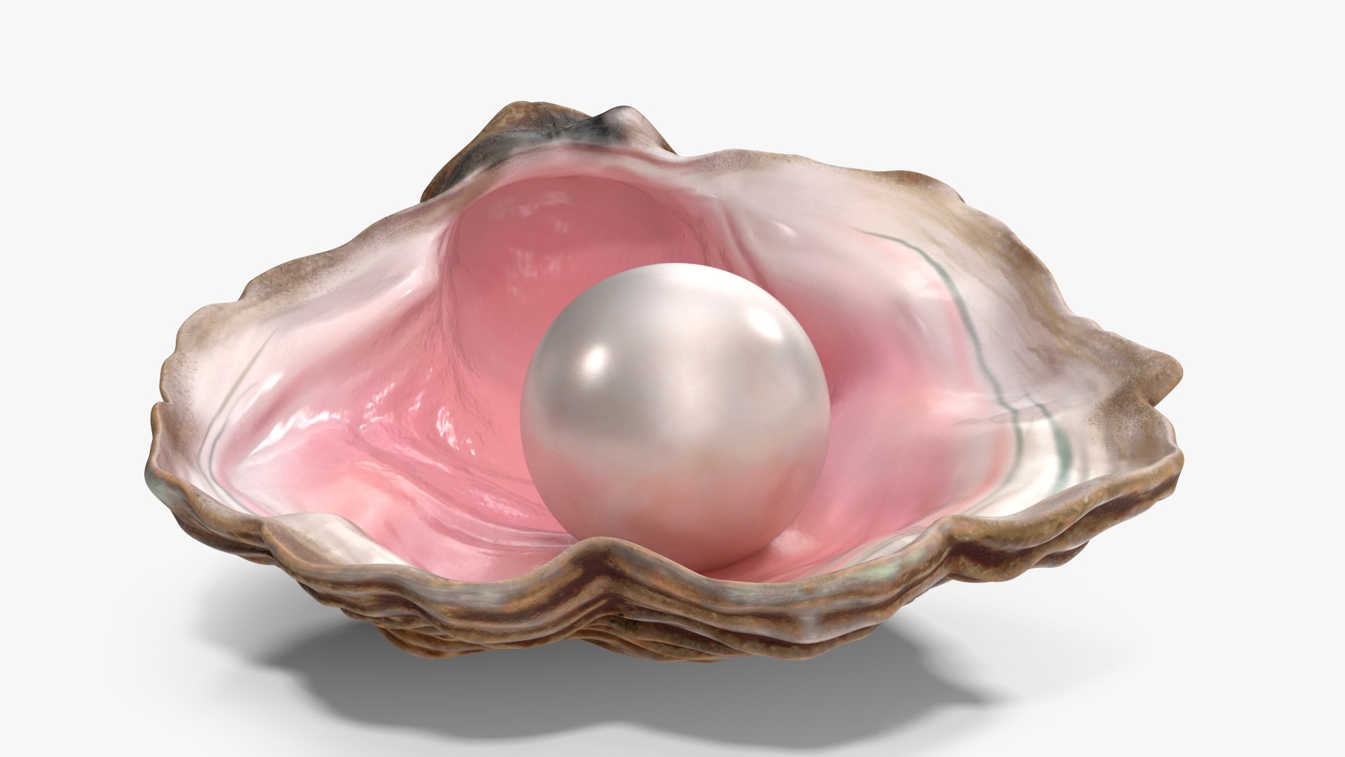 Pearl In Colored Shell Model - TurboSquid 2387380