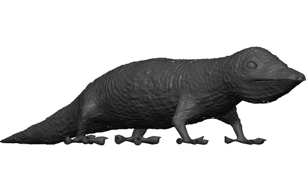 Gecko Stl 3D model - TurboSquid 1774249