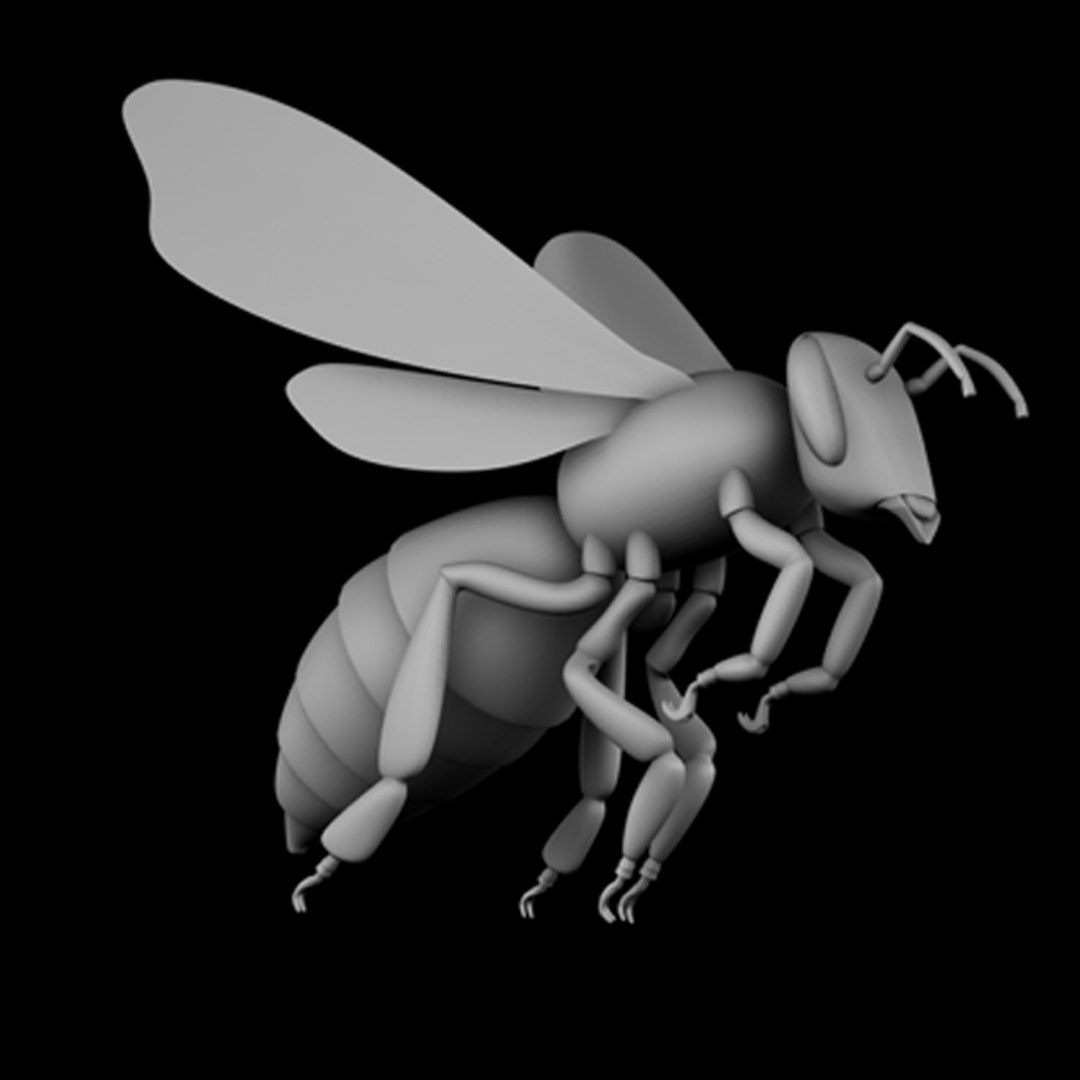 3d Model Bee