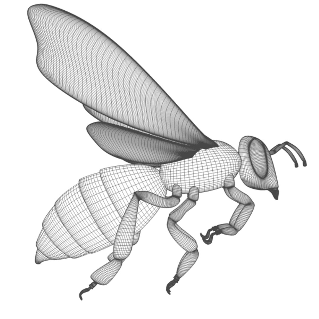3d Model Bee