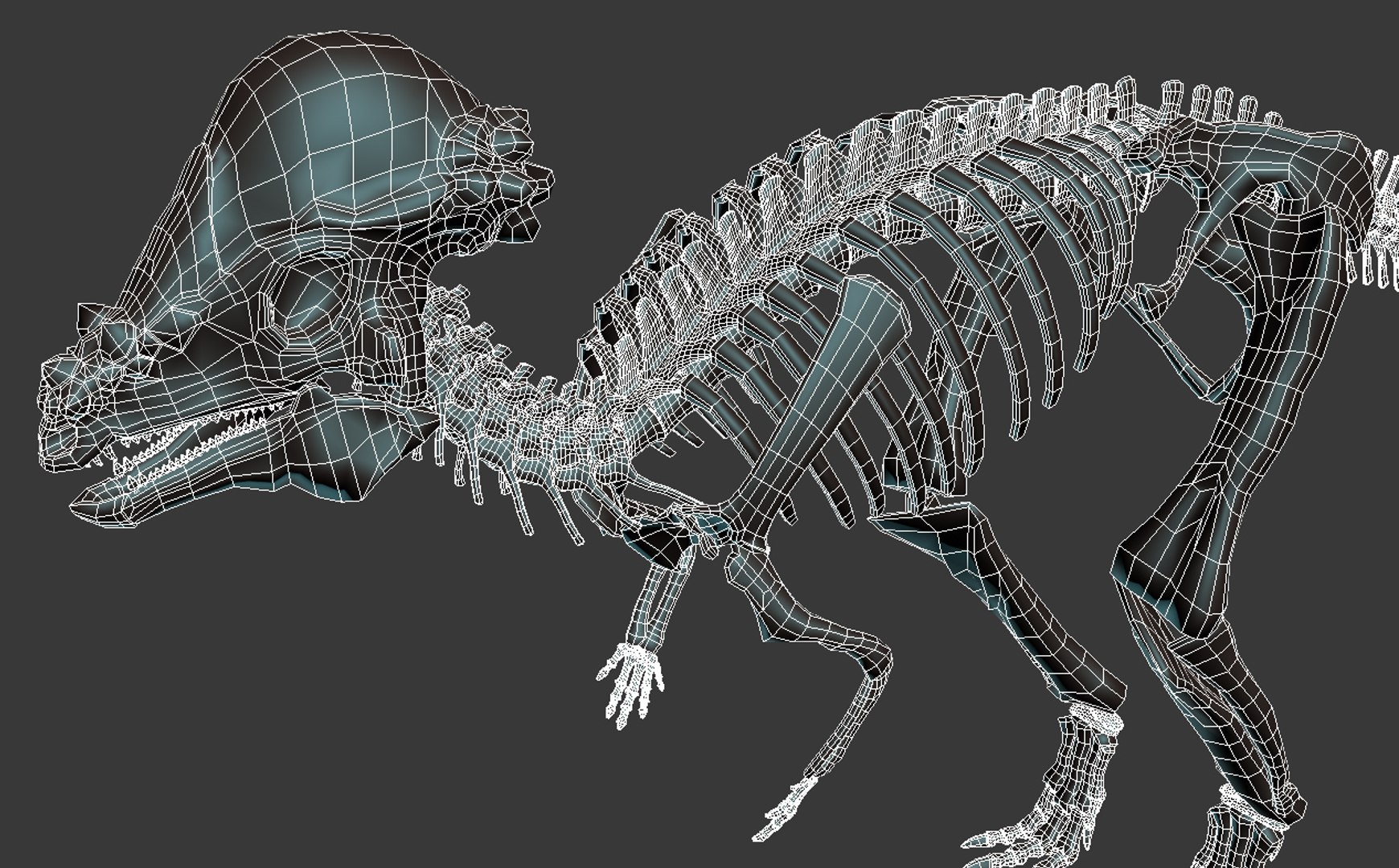 Pachycephalosaurus skeleton 3D - TurboSquid 1228777