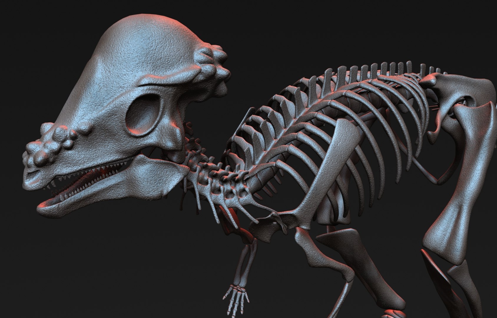 Pachycephalosaurus skeleton 3D - TurboSquid 1228777