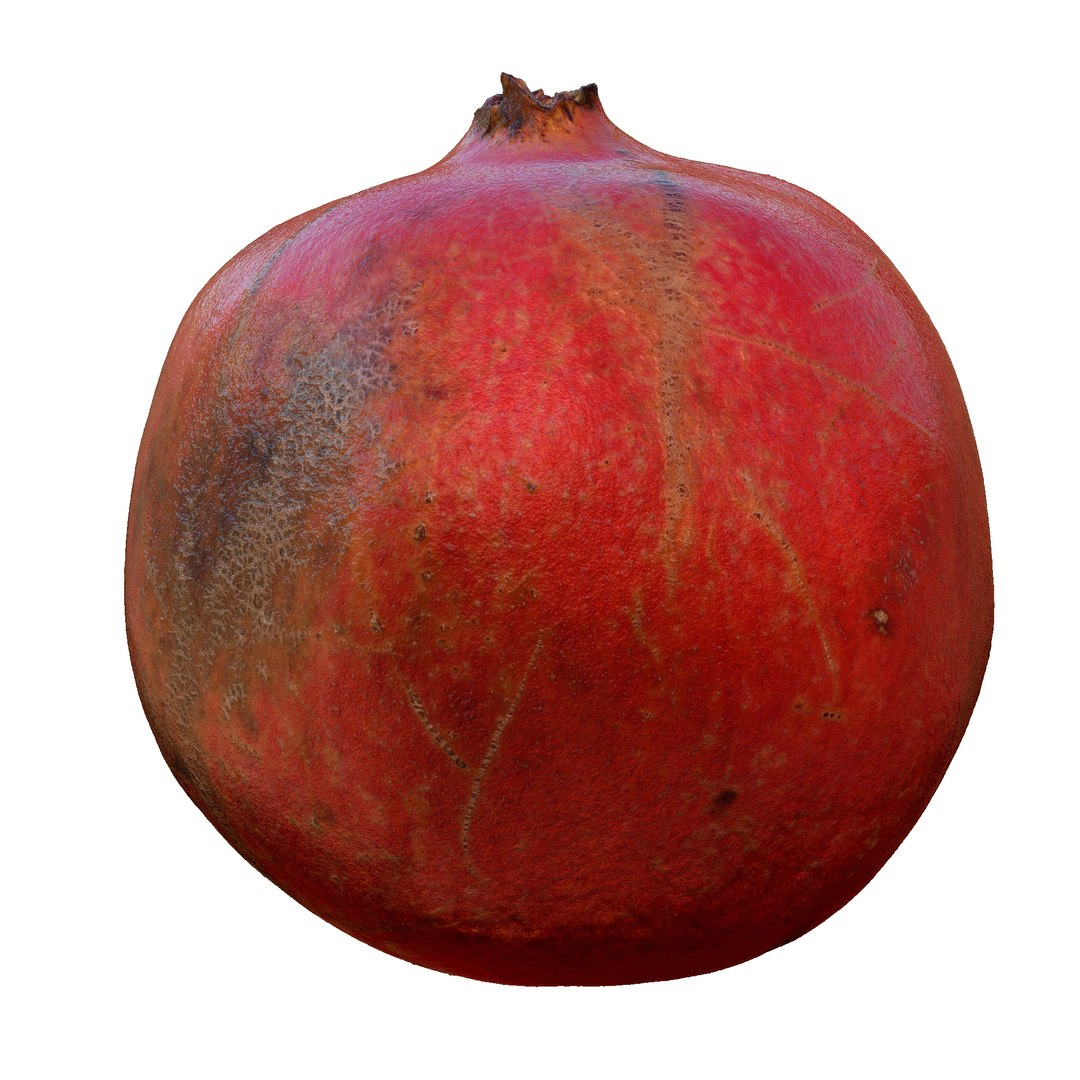 3d Pomegranate Cleaned Retopologized Scan Model