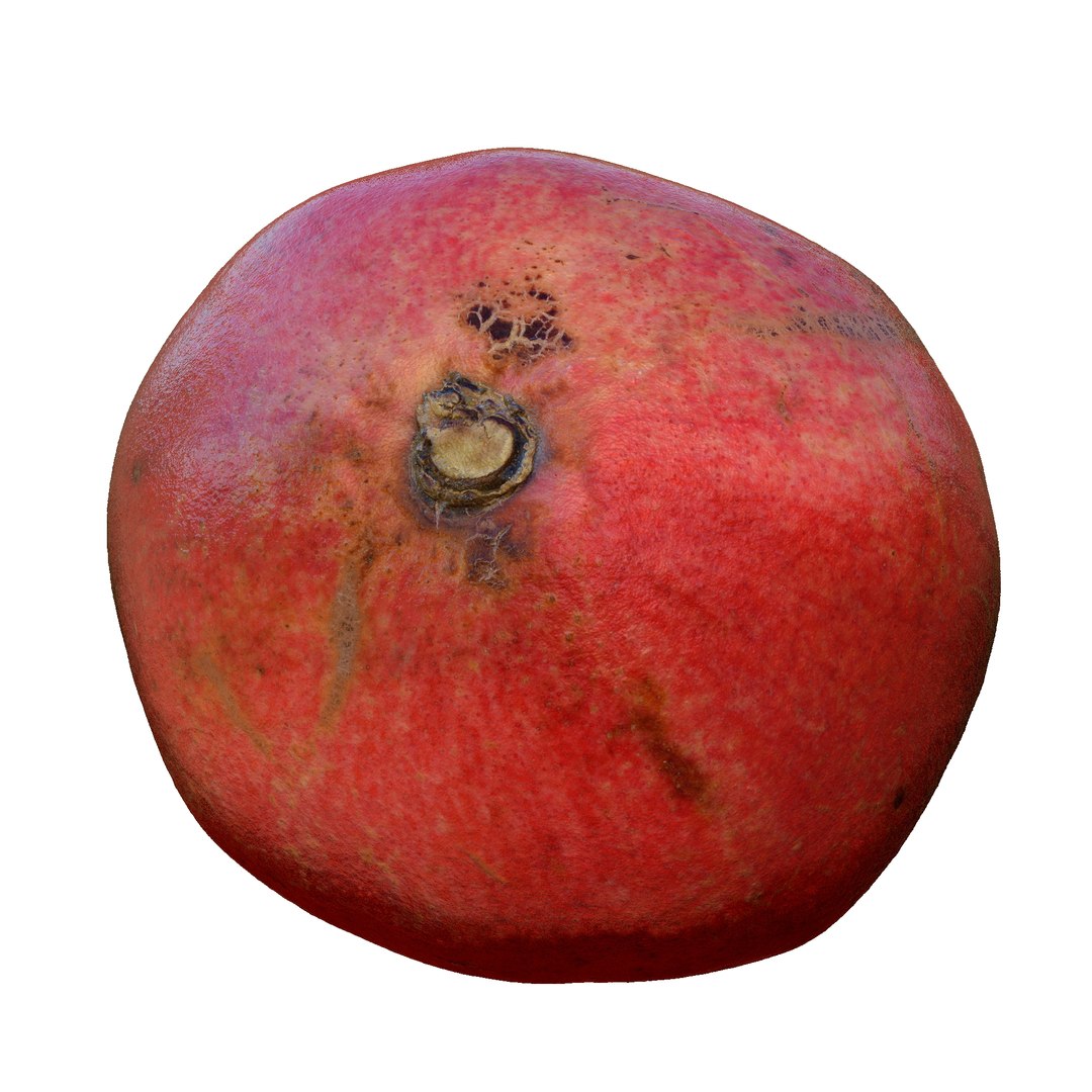 3d Pomegranate Cleaned Retopologized Scan Model
