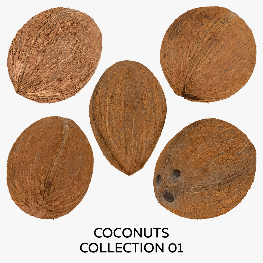 3D Coconuts Collection 01 - 5 models RAW Scans - TurboSquid 1830425