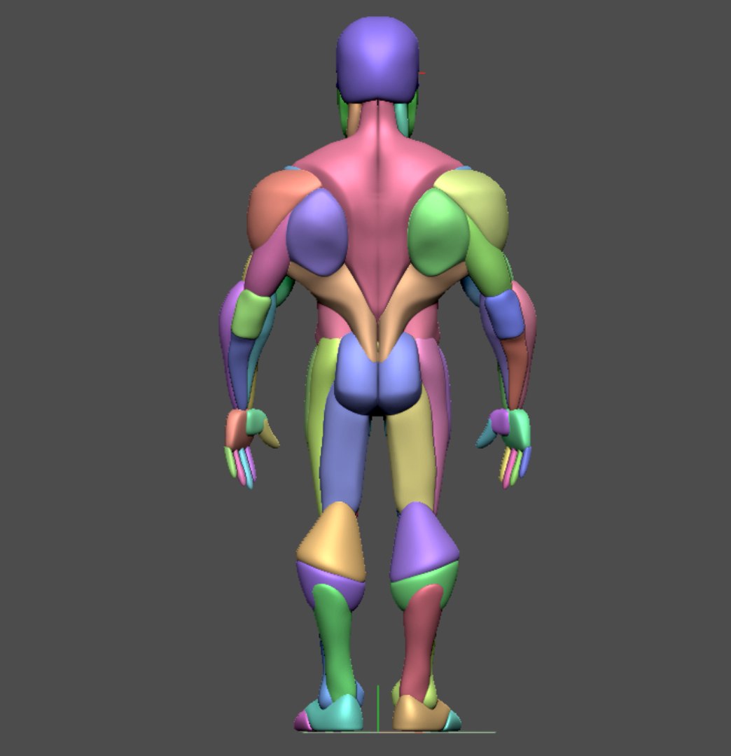 3D Model Male Anatomy Blockout - TurboSquid 1693534