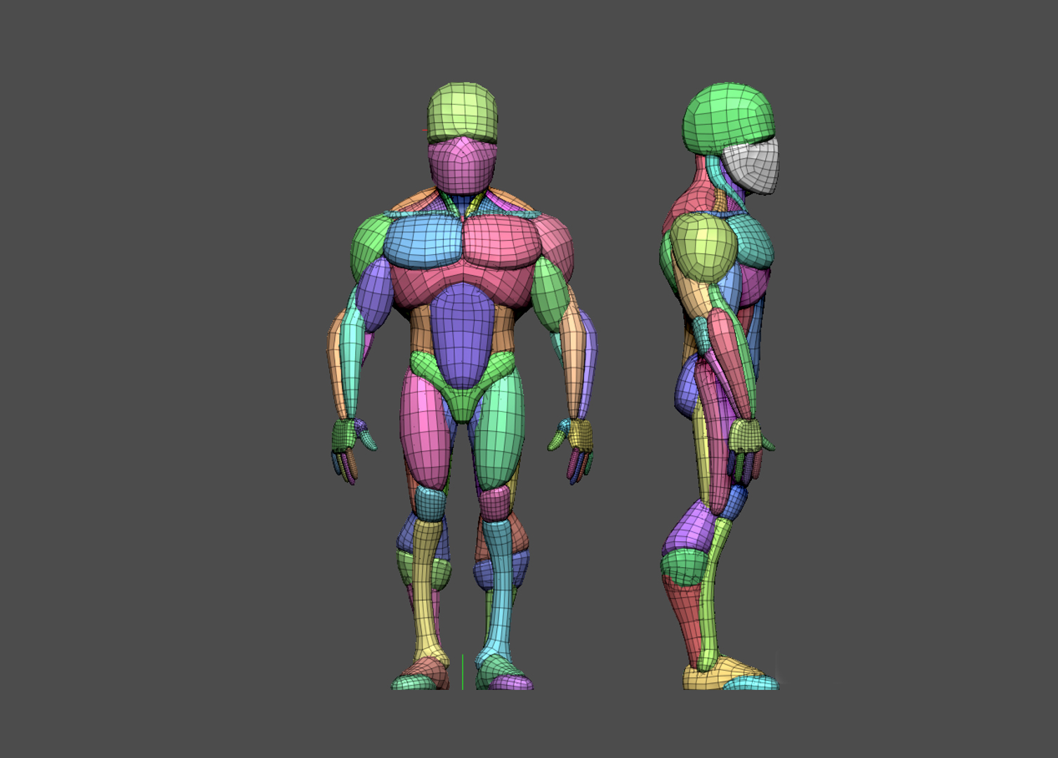 3D model male anatomy blockout - TurboSquid 1693534