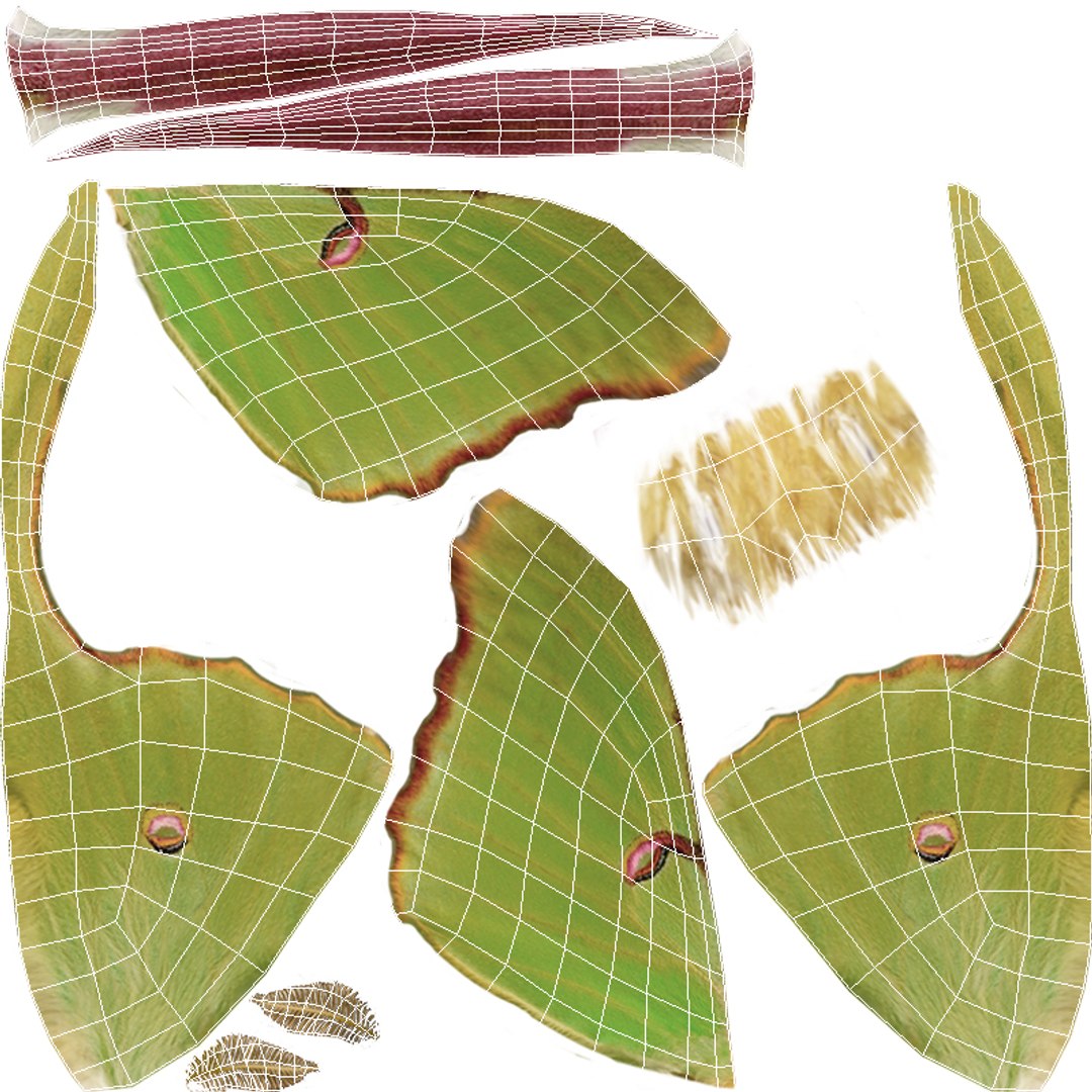 3D Lunamoth Model - TurboSquid 1772510