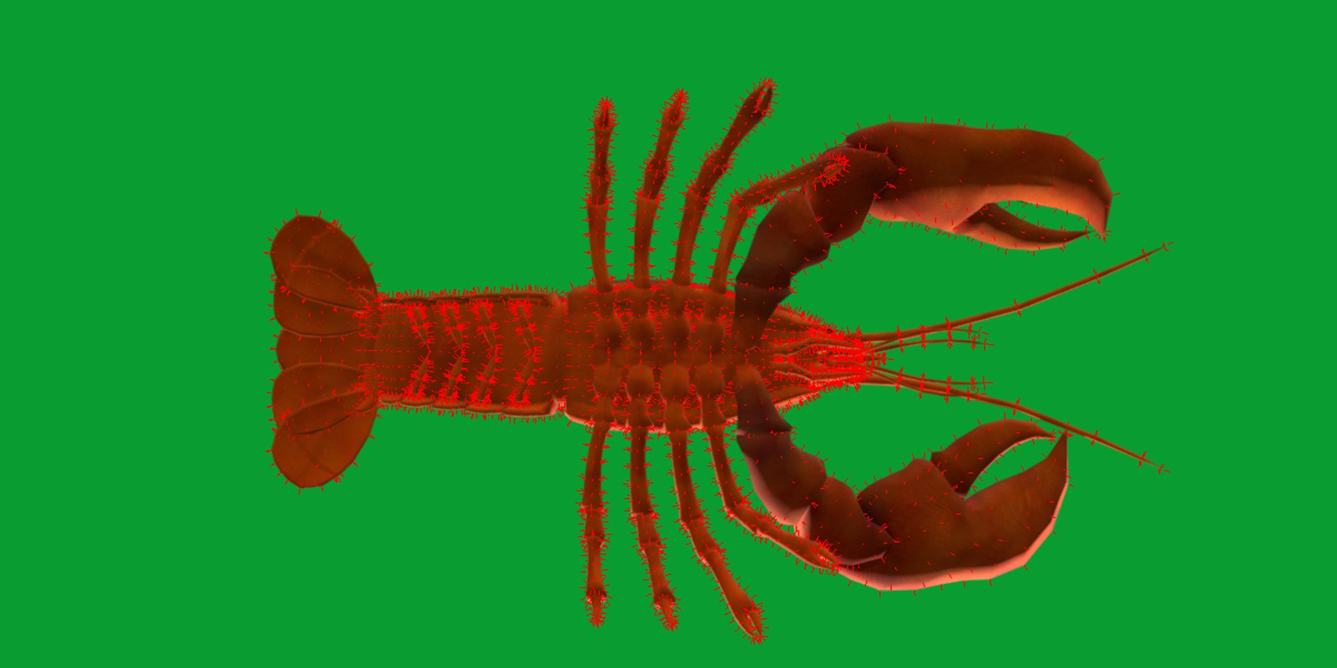 American Lobster 3D Model - TurboSquid 2378964