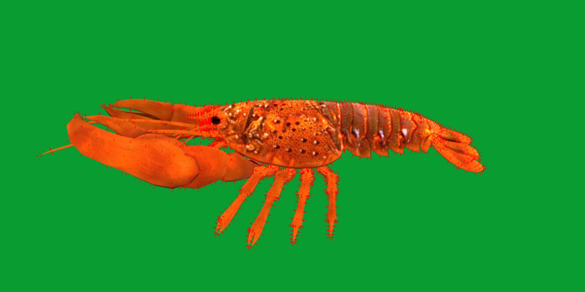 American Lobster 3D Model - TurboSquid 2378964