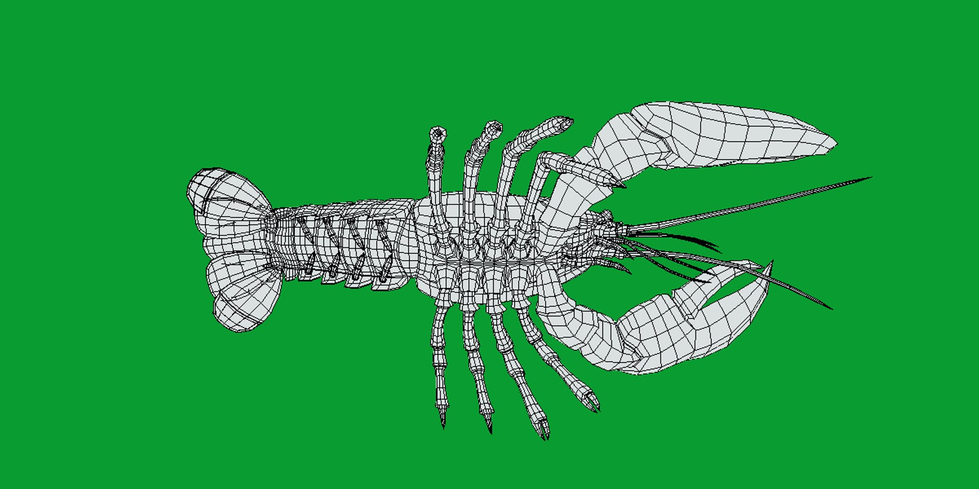 American Lobster 3D Model - TurboSquid 2378964